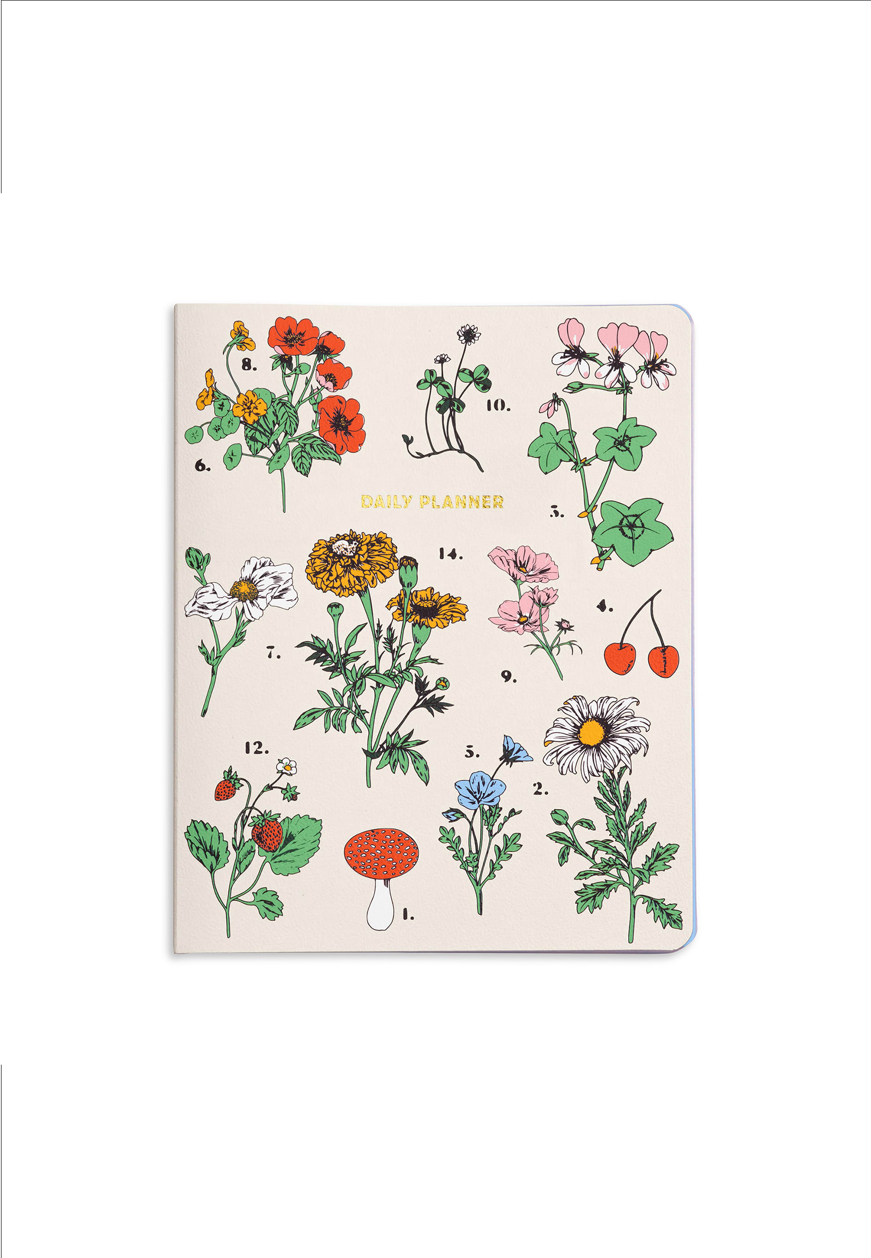 Bando To Do Planner Beige | maurices